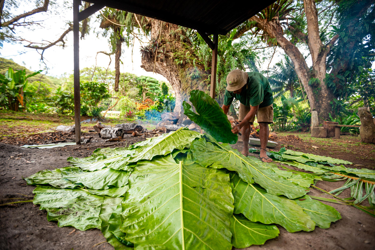 Lovo Demonstration - Koro Sun Resort